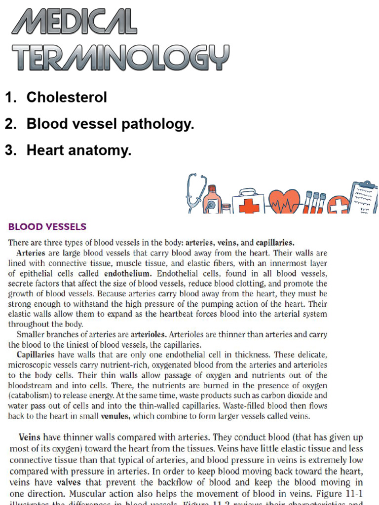 Medical Terminology 2 | PDF