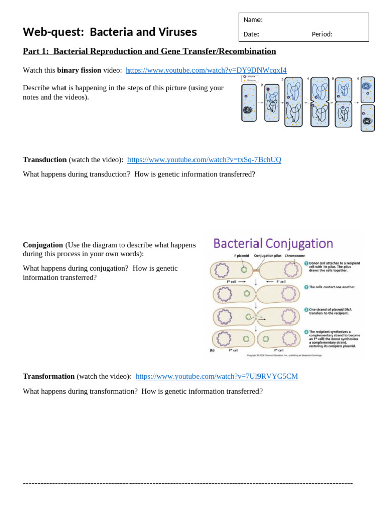 Bacteria & Virus Study Guide | PDF | Virus | Hiv