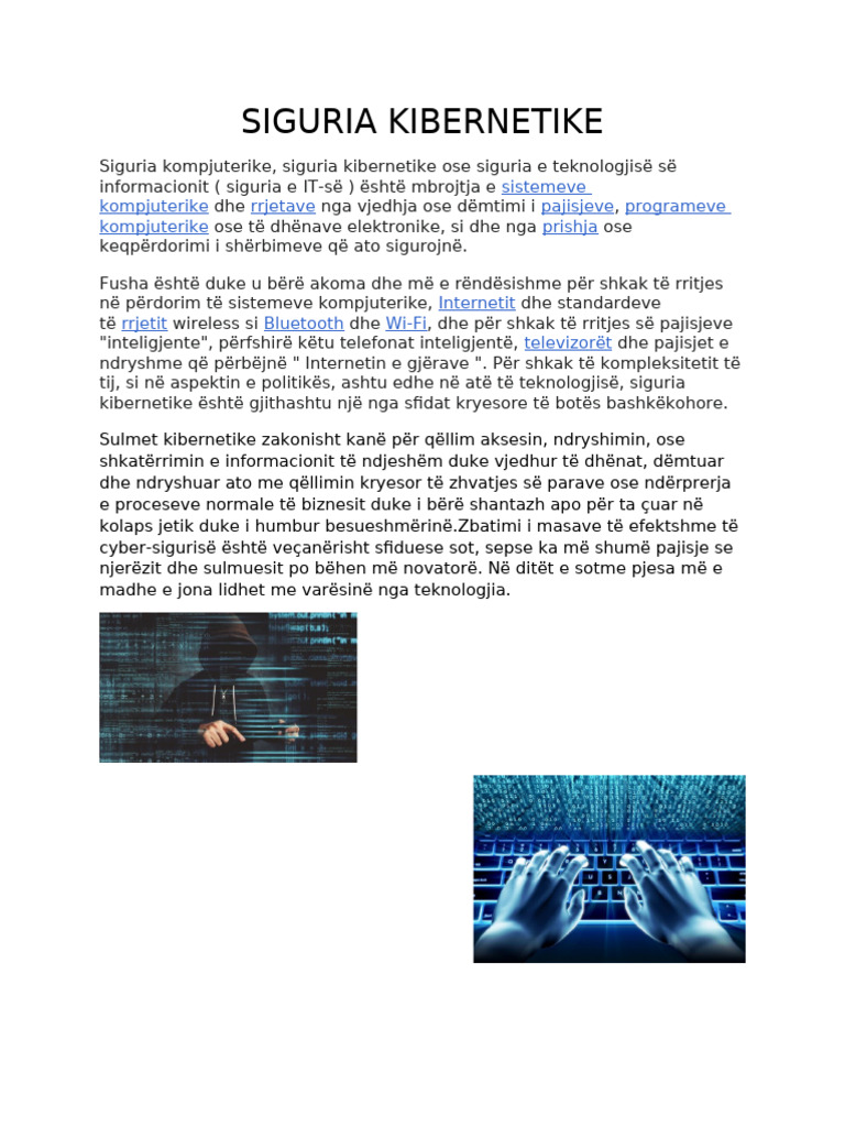 Siguria Kibernetike | PDF
