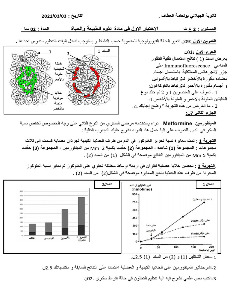 Dzexams 2as Sciences 2299038 | PDF