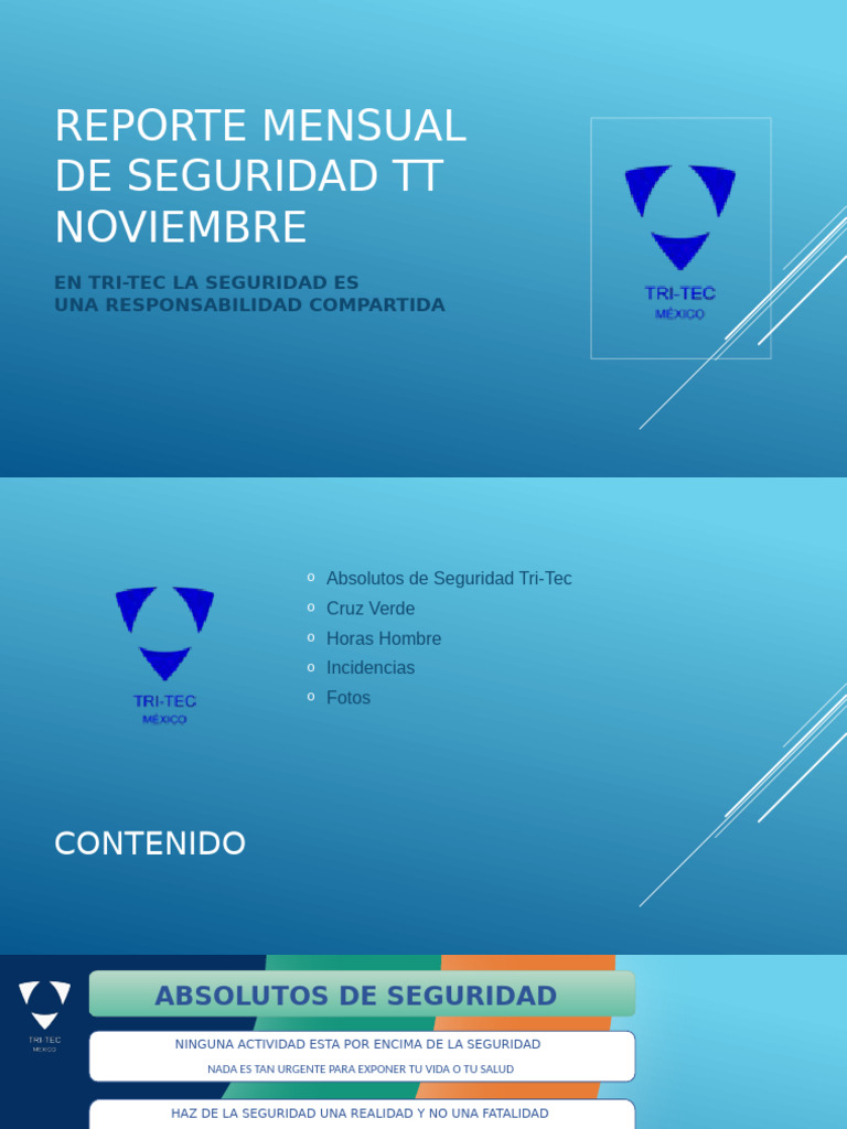 Reporte Mensual de Seguridad Ejemplo | PDF