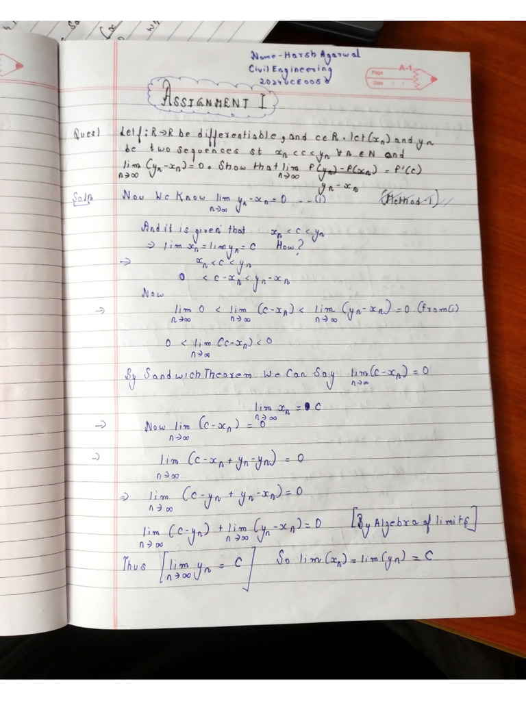 Calculus Assignment | PDF