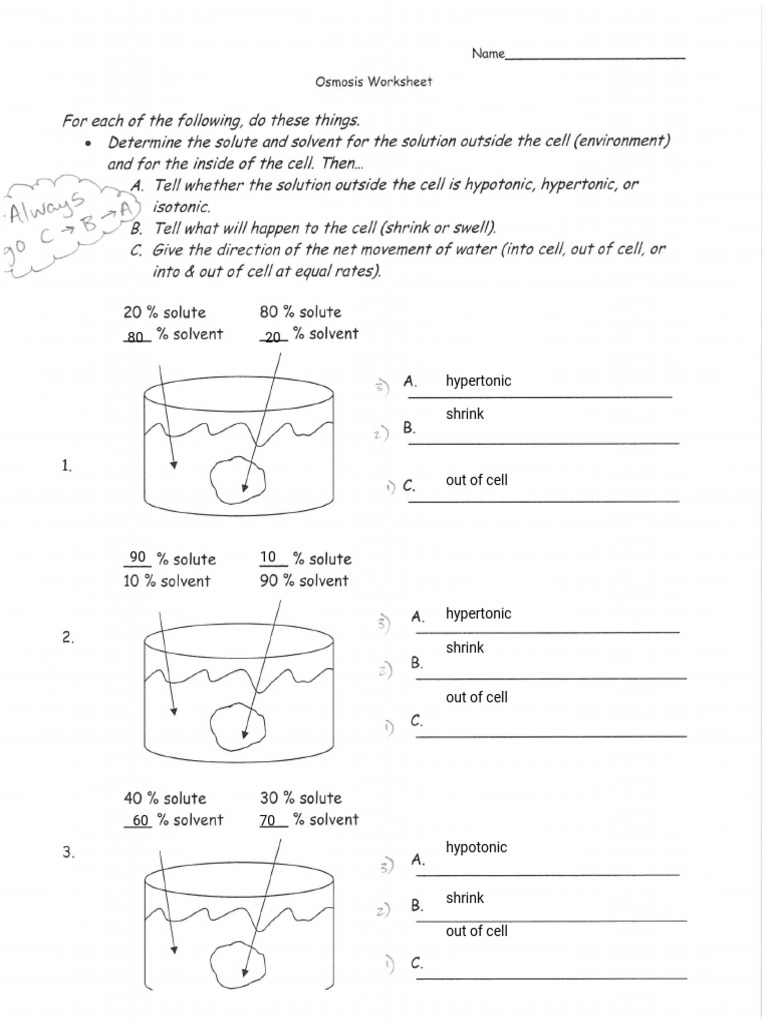 Hypo Iso Hyper Worksheet | PDF