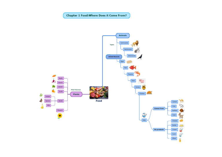 Food MInd Map CLASS 6 | PDF
