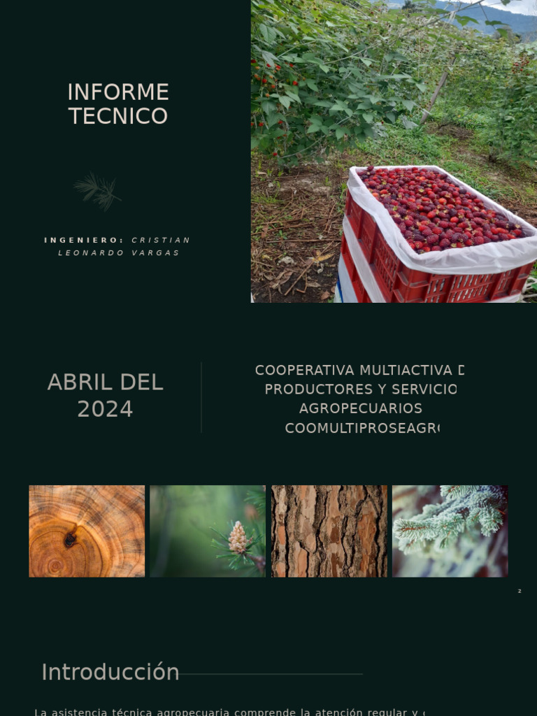 Informe Tecnico | PDF
