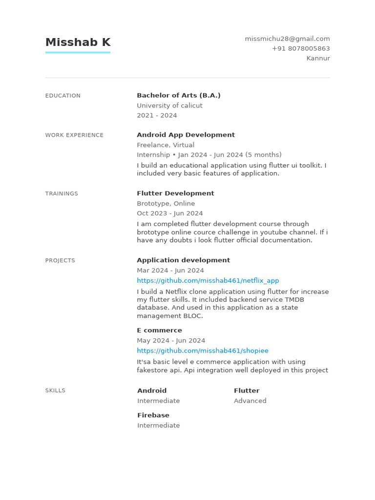 Flutter Developer Portfolio 2024 | PDF