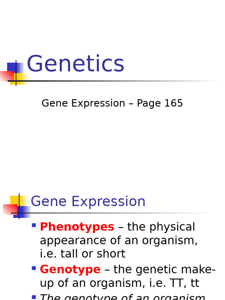 Notes - Genetics - Gene Expression | PDF