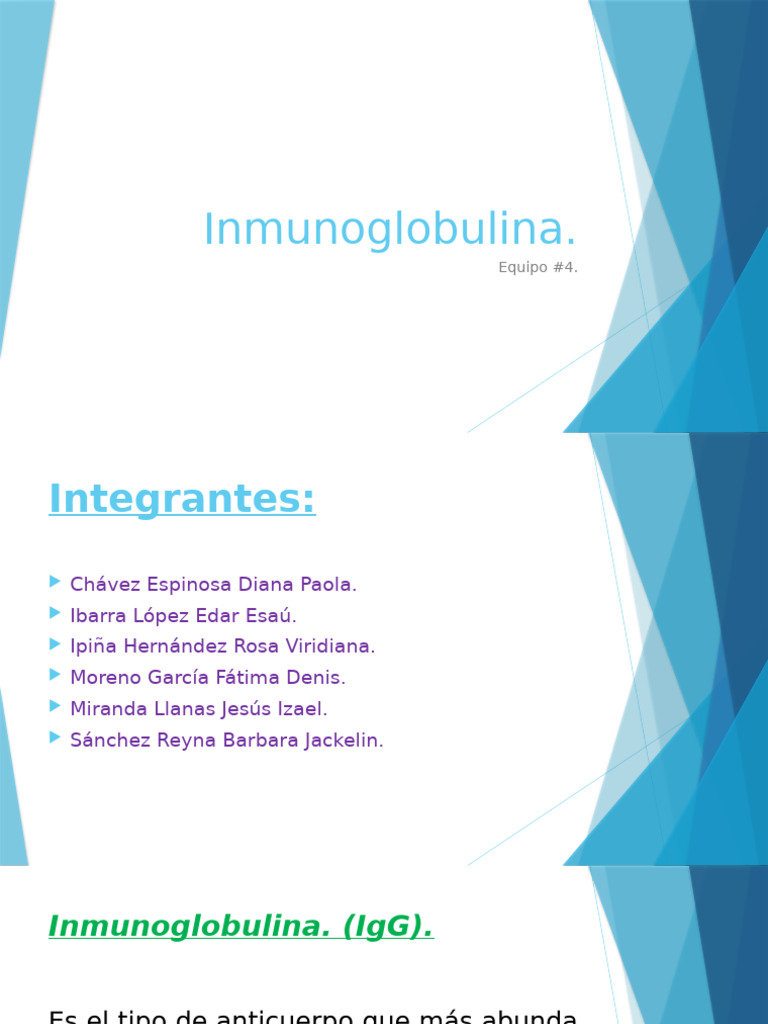 Equipo 4 Inmunoglobulinas Pdf Anticuerpo Célula T