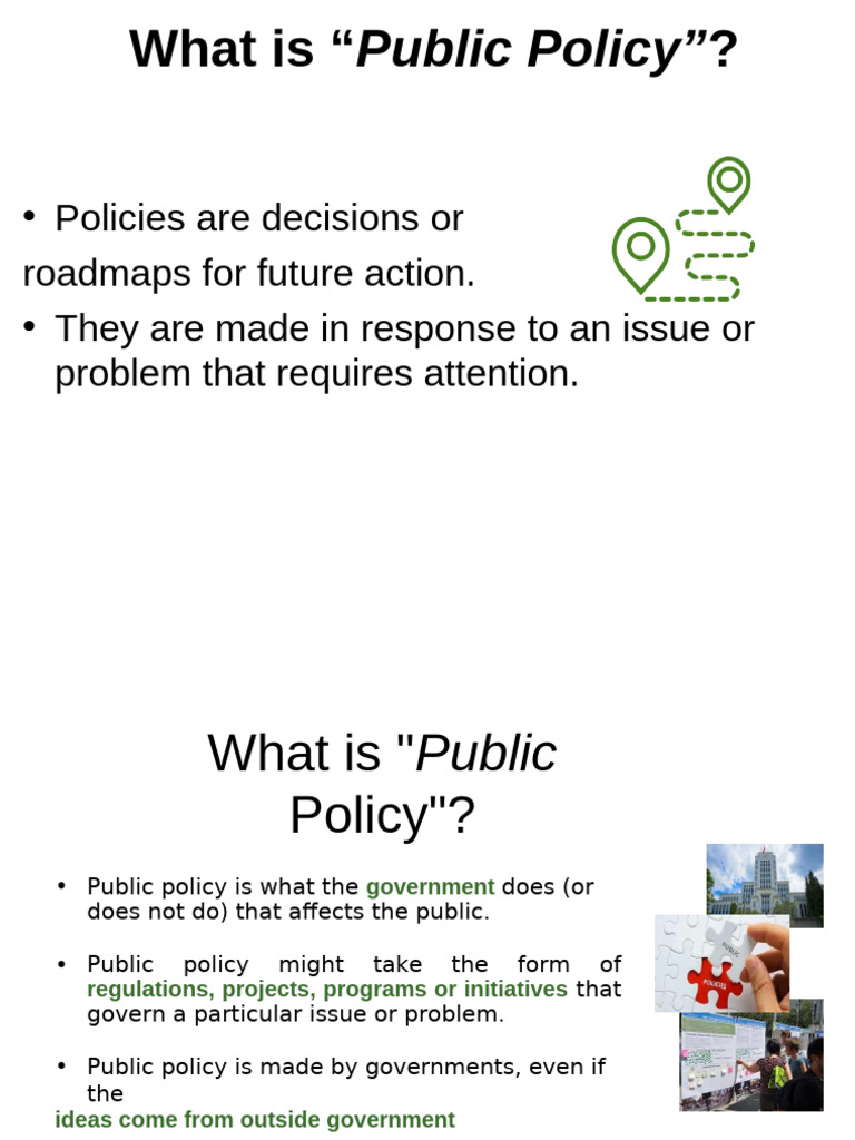 Understanding Public Policy Basics | PDF | Equity (Economics) | Policy