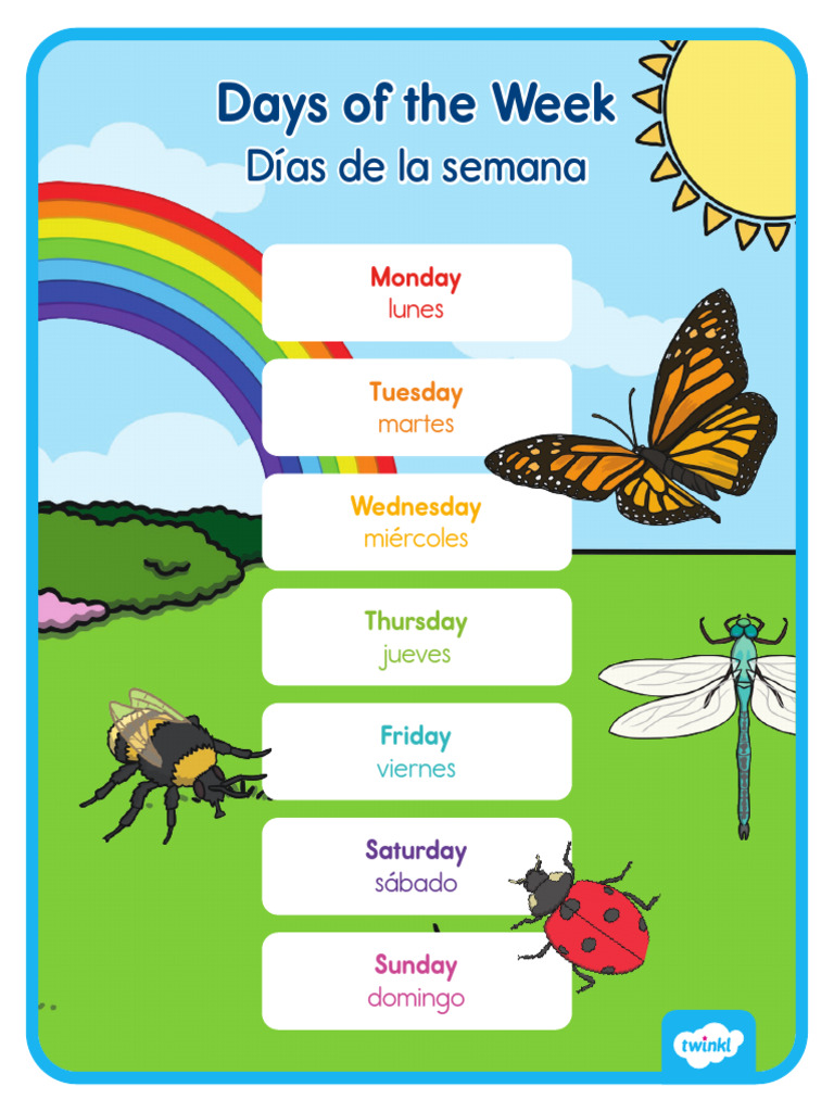 Color Days of The Week Display Poster English - Spanish | PDF