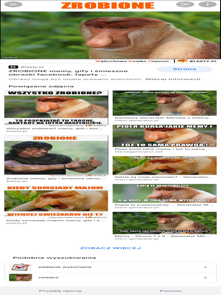 memy do zrobienia – Szukaj w Google | PDF