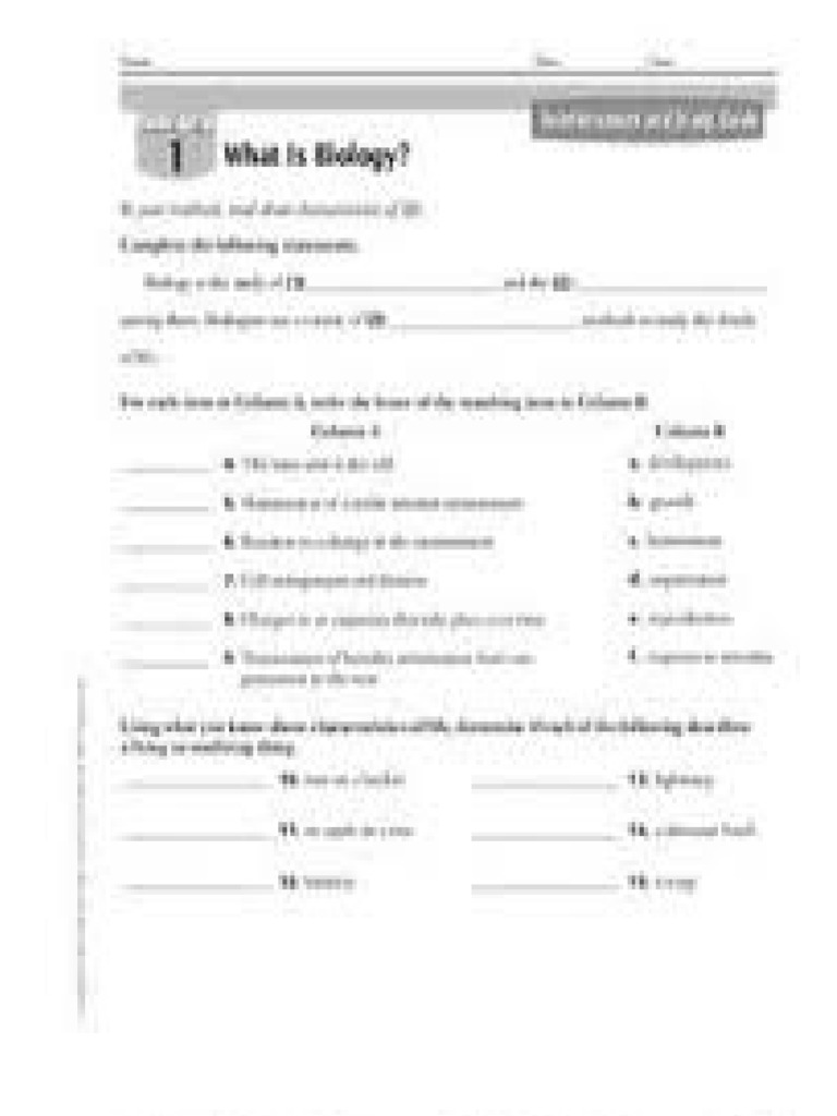 Bio Worksheet | PDF