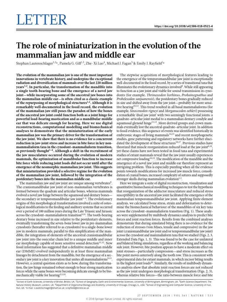 Lautenschlager Et Al. 2018. The Role of Miniaturization in The ...