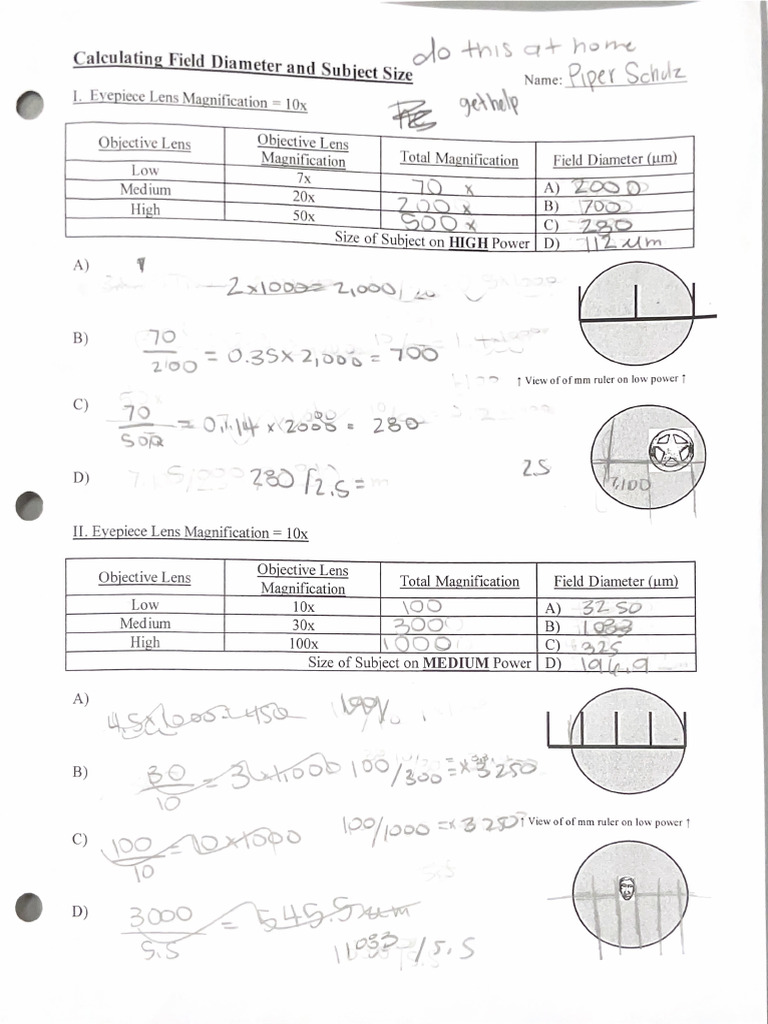 Calculating Field | PDF
