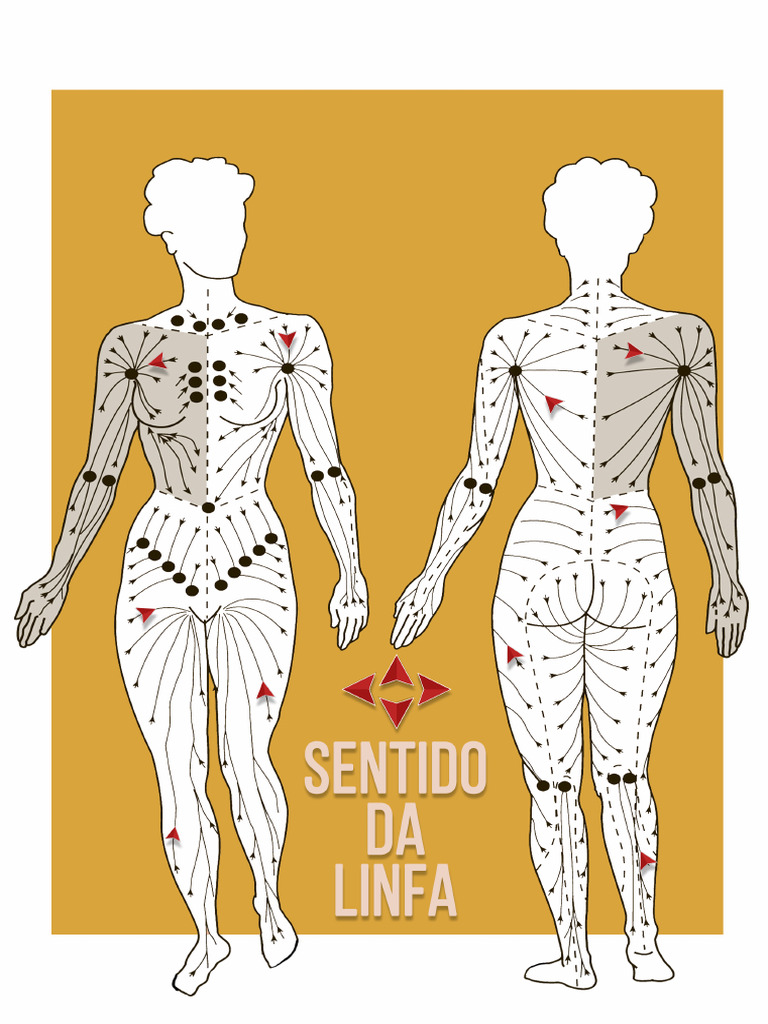 Sentido Da Linfa | PDF