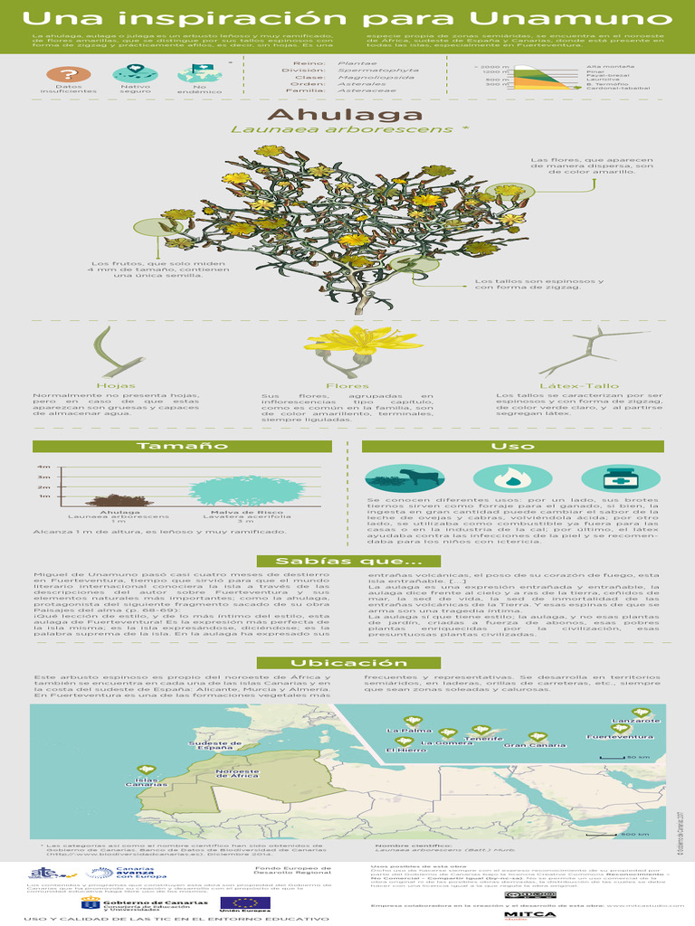 ahulaga | PDF | Islas Canarias