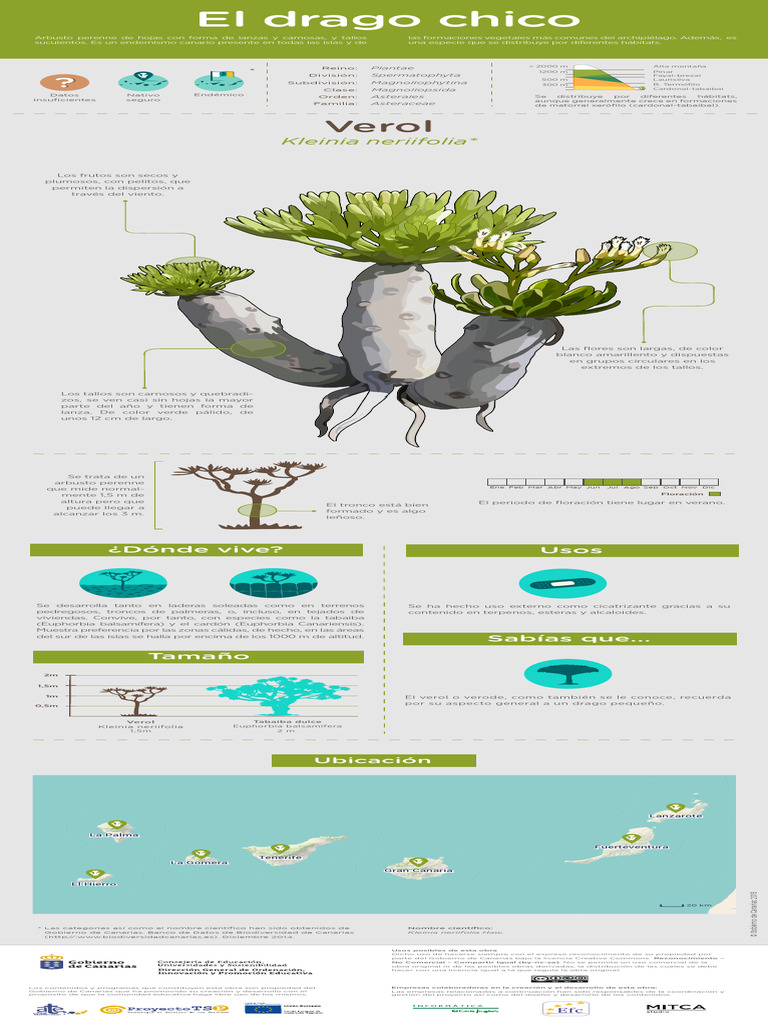 IA Verol | PDF | Islas Canarias | Botánica