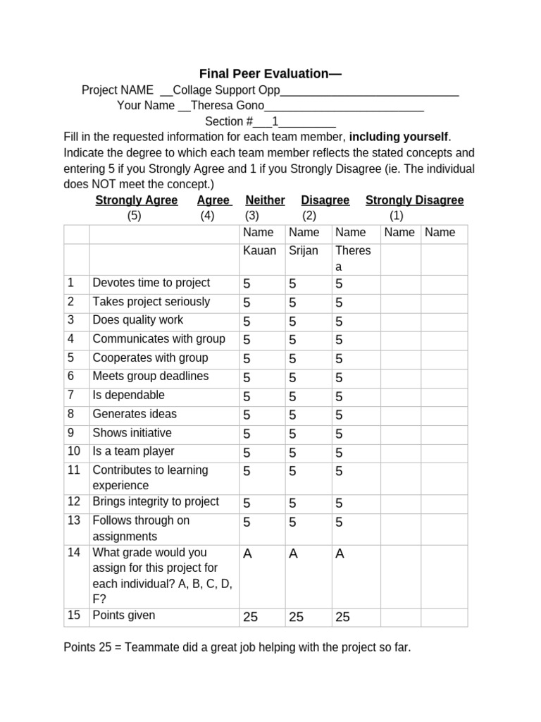 Final Peer Evaluation— | PDF | Human Communication