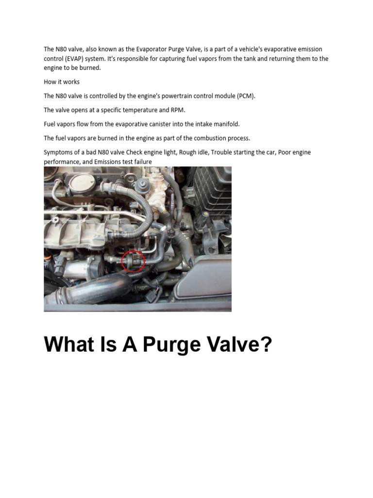 The N80 Purge Valve | PDF | Carburetor | Engines