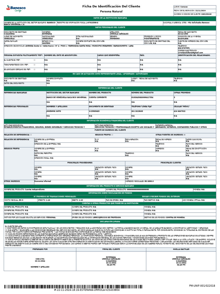 Ficha Persona Natural | PDF | Bancos | Business