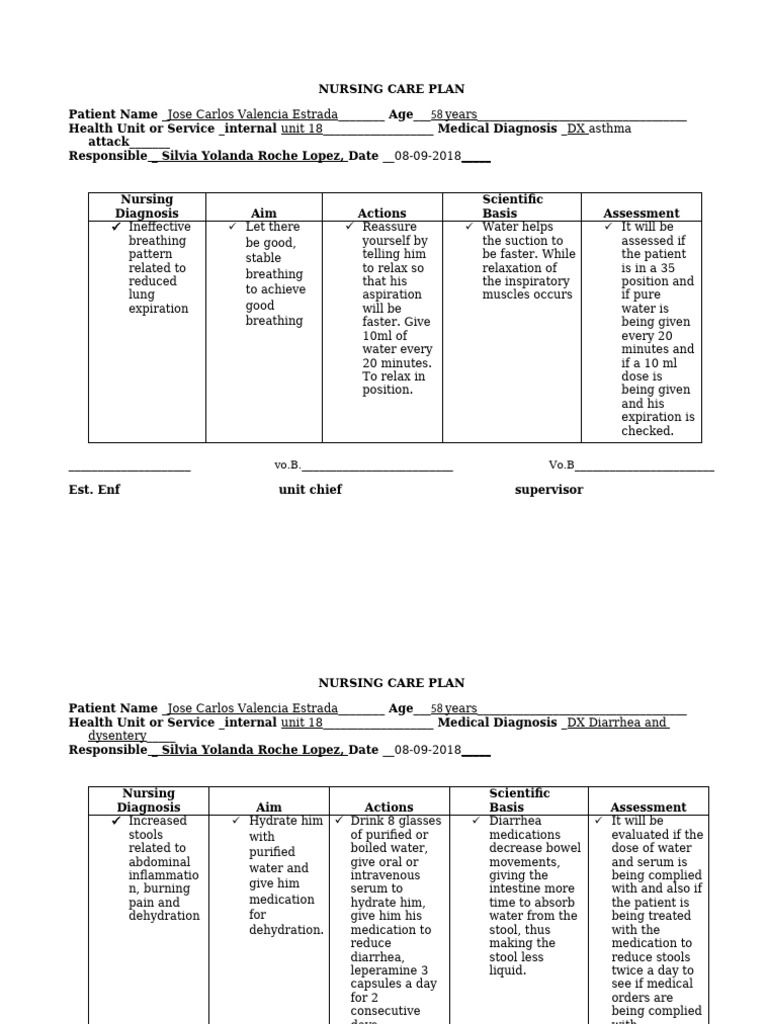 Nursing Care Plan | PDF | Respiratory Tract | Asthma