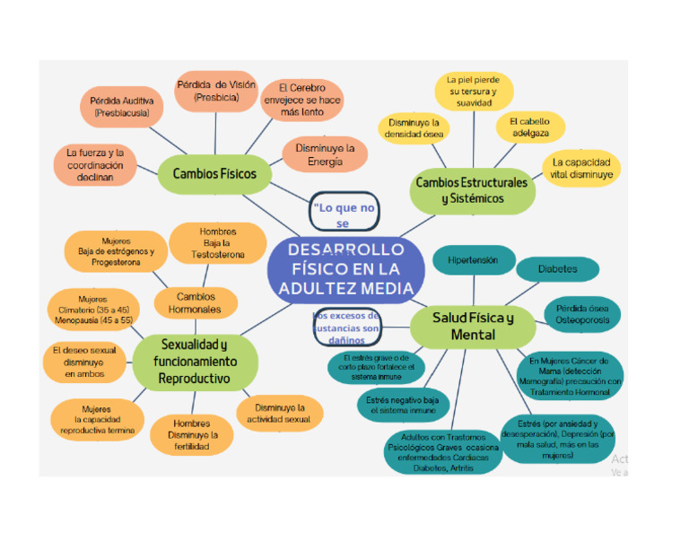 Desarrollo físico en la adultez media | PDF