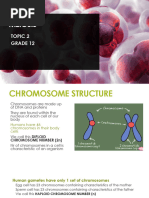 Meiosis Notes 2025 | PDF | Meiosis | Chromosome