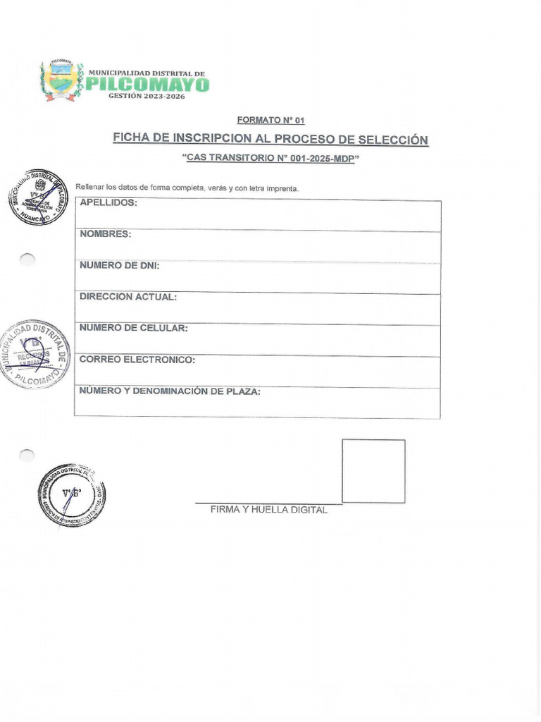 Formato y Anexos - Cas Transitorio #001 2025 MDP | PDF