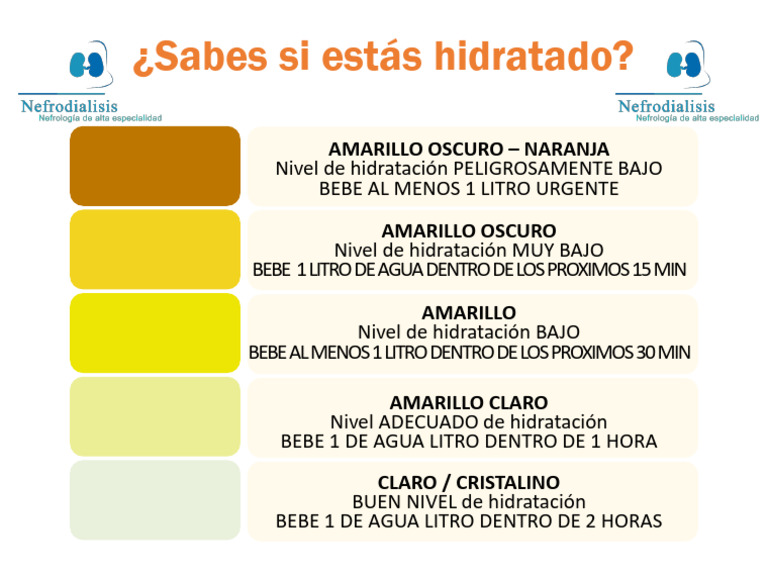 Guía de Hidratación según Orina | PDF