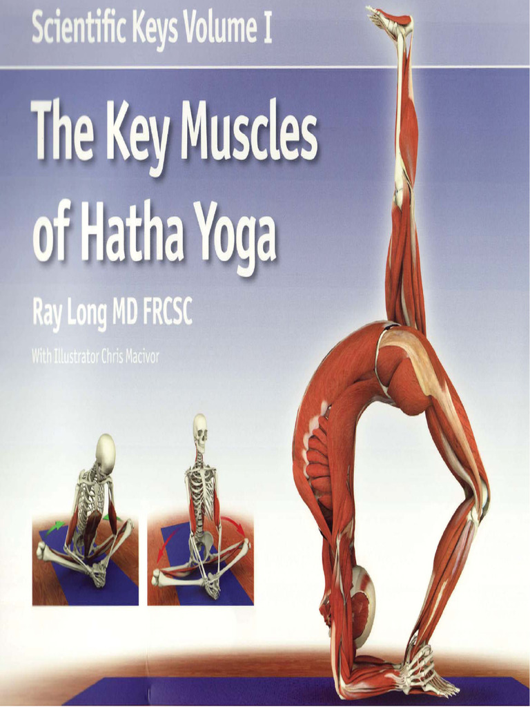 Key Muscles of Yoga | PDF