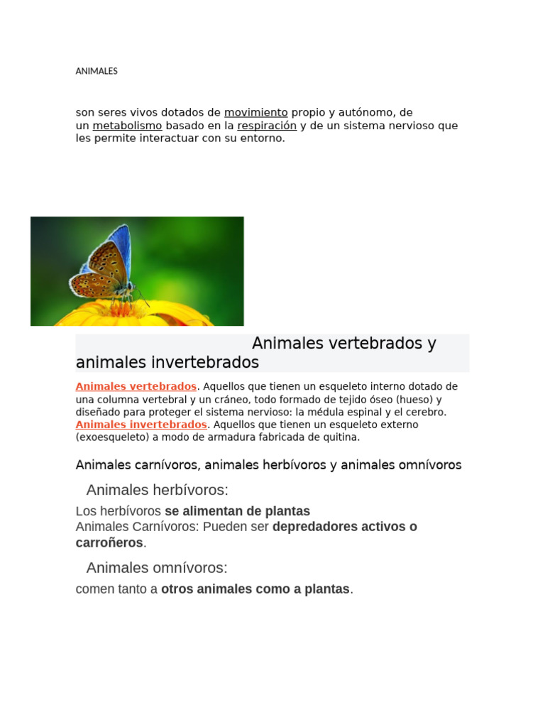 Clasificación de Animales: Vertebrados e Invertebrados | PDF