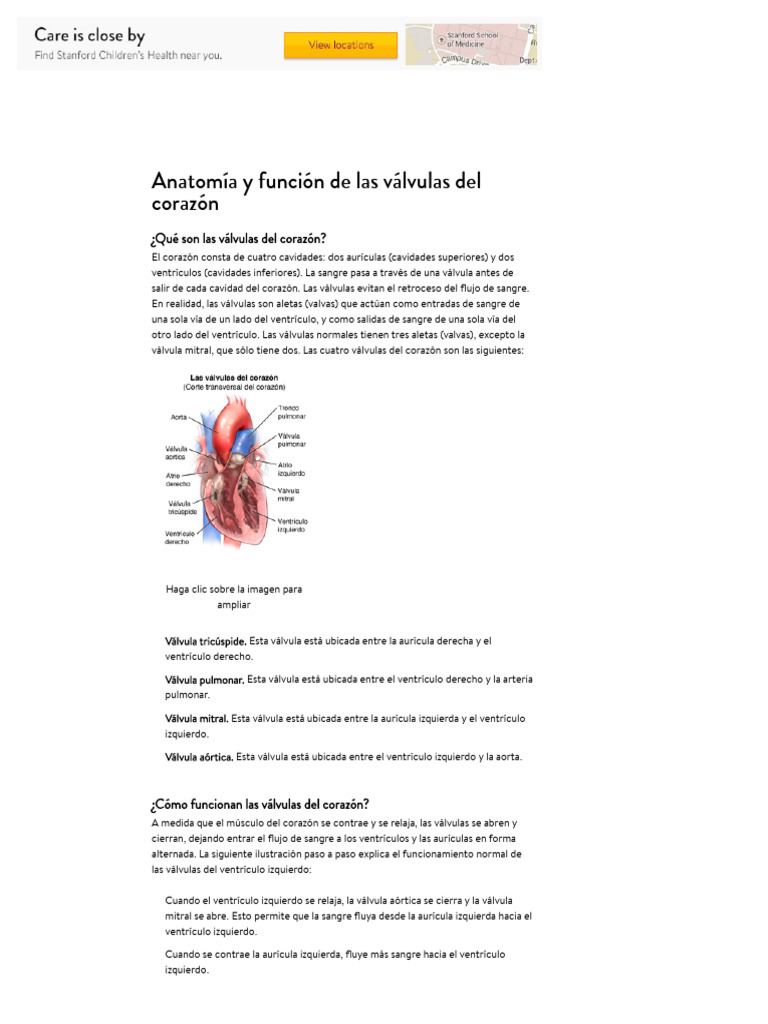 Anatomy and Function of the Heart Valves | PDF | Corazón | Ventrículo ...