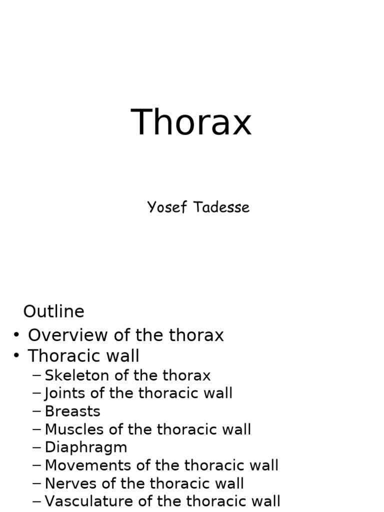 Thorax | PDF | Thorax | Vertebra