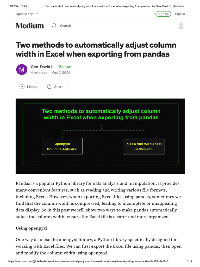 Automatically Adjust Column Width in Excel | PDF