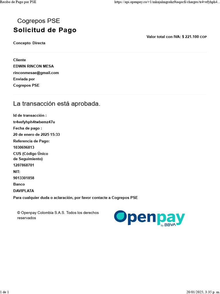 Recibo de Pago PSE - Edwin Rincón | PDF