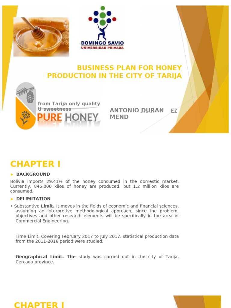 Honey Production Business Plan Tarija | PDF | Beekeeping | Honey