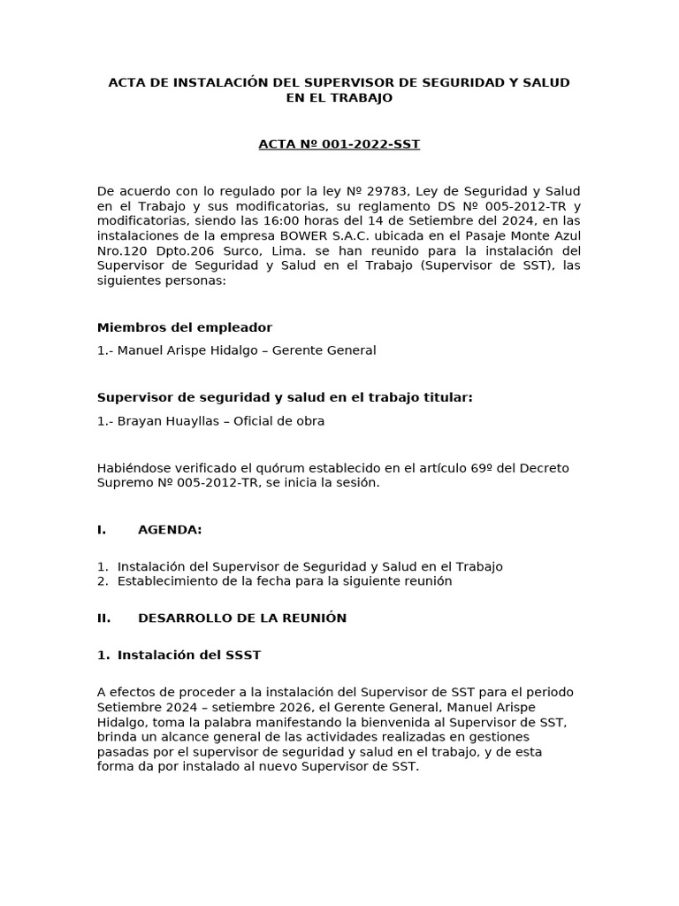 Acta de Instalacion SST Bower | PDF