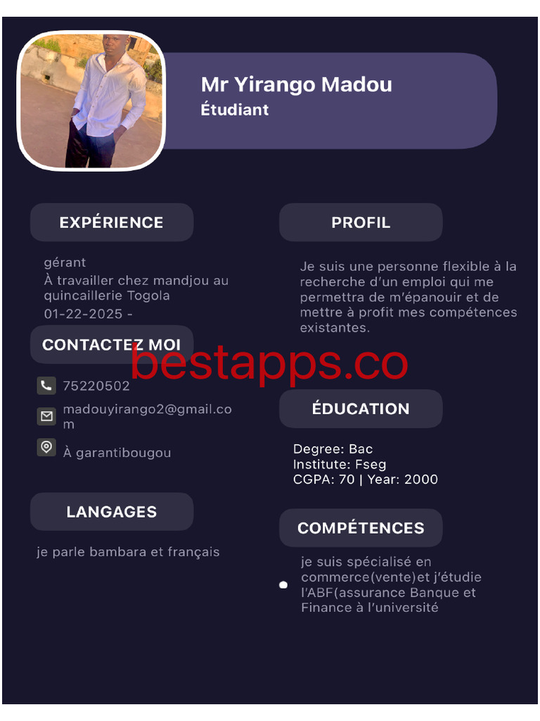 Watermark Template 6 | PDF