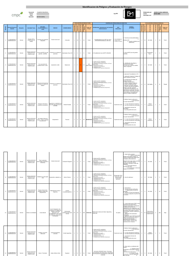 Formato Planta IPER (Recuperado Automáticamente) | PDF