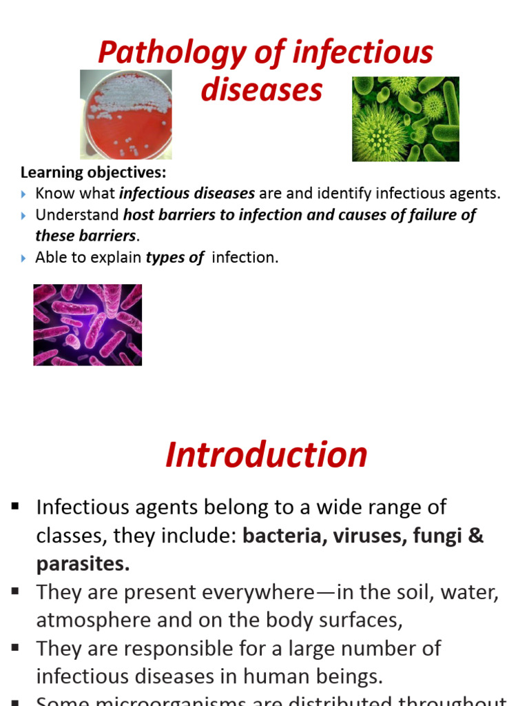 L14 Pathology of Infectious Diseases 2024 | PDF | Candidiasis | Mucus