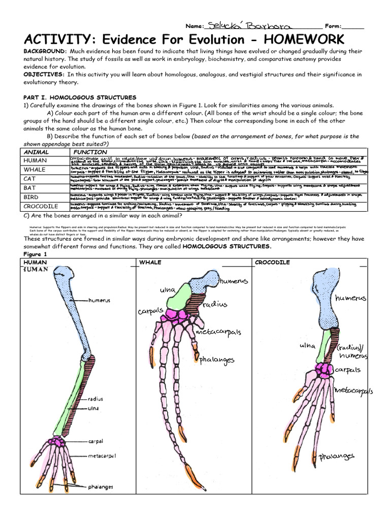 Forelimb Adaptations and Evolution Evidence | PDF | Hand | Zoology