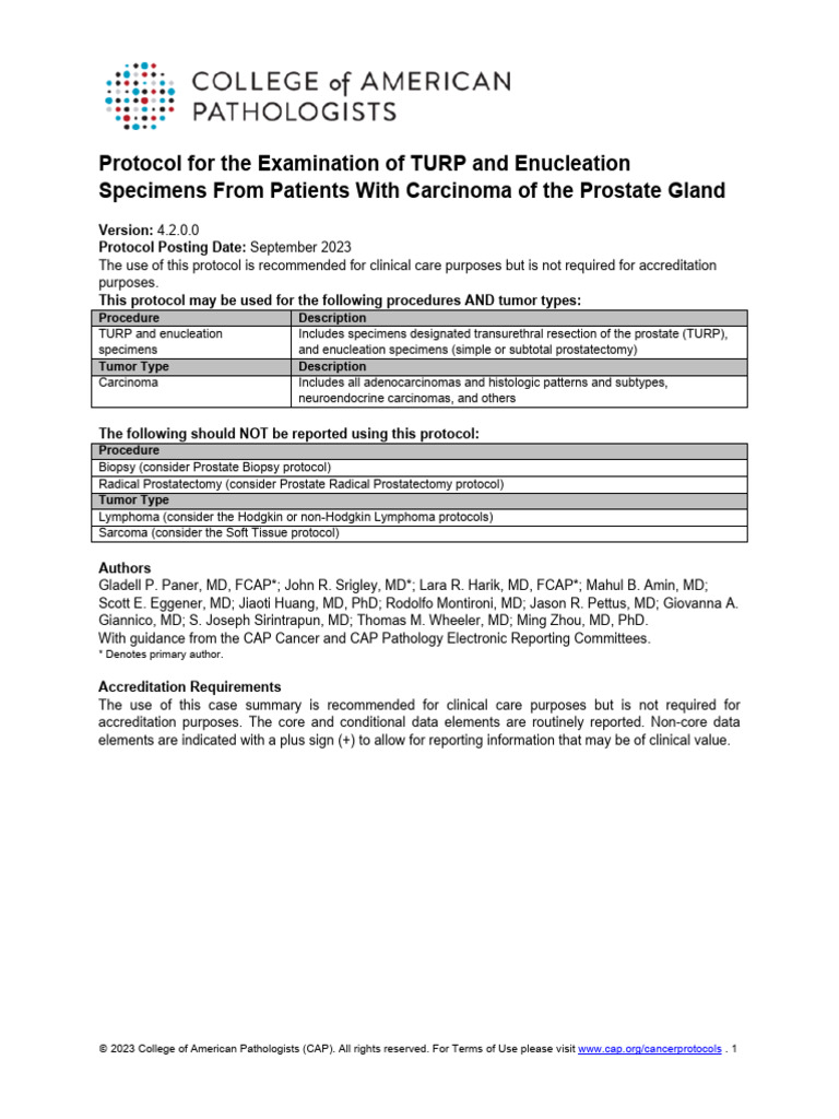 Prostate - TURP 4.2.0.0.REL CAPCP | PDF | Prostate Cancer | Carcinoma