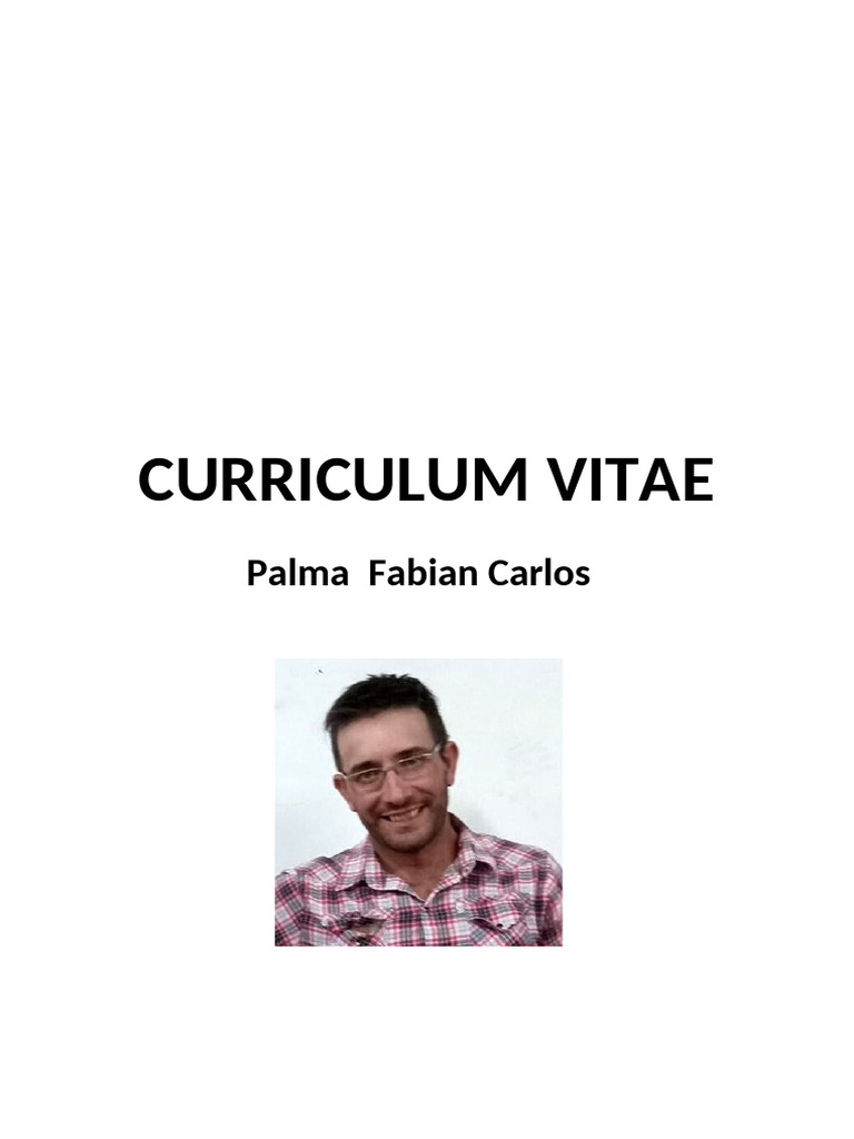 CV de Fabian Nuevo2024 | PDF