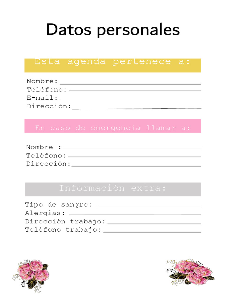 ORGANIGASTOS CHANEL A4 2023 | PDF