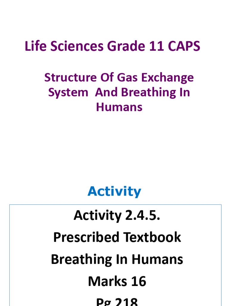 Gas Exchange and Breathing in Humans | PDF | Lung | Thorax