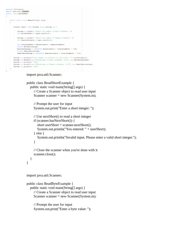 Java Scanner Input Examples | PDF