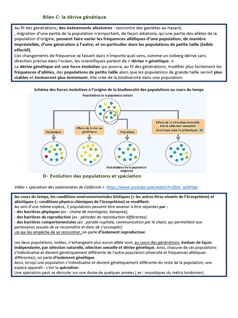 Dérive génétique et spéciation expliquées | PDF | Évolution | Biologie