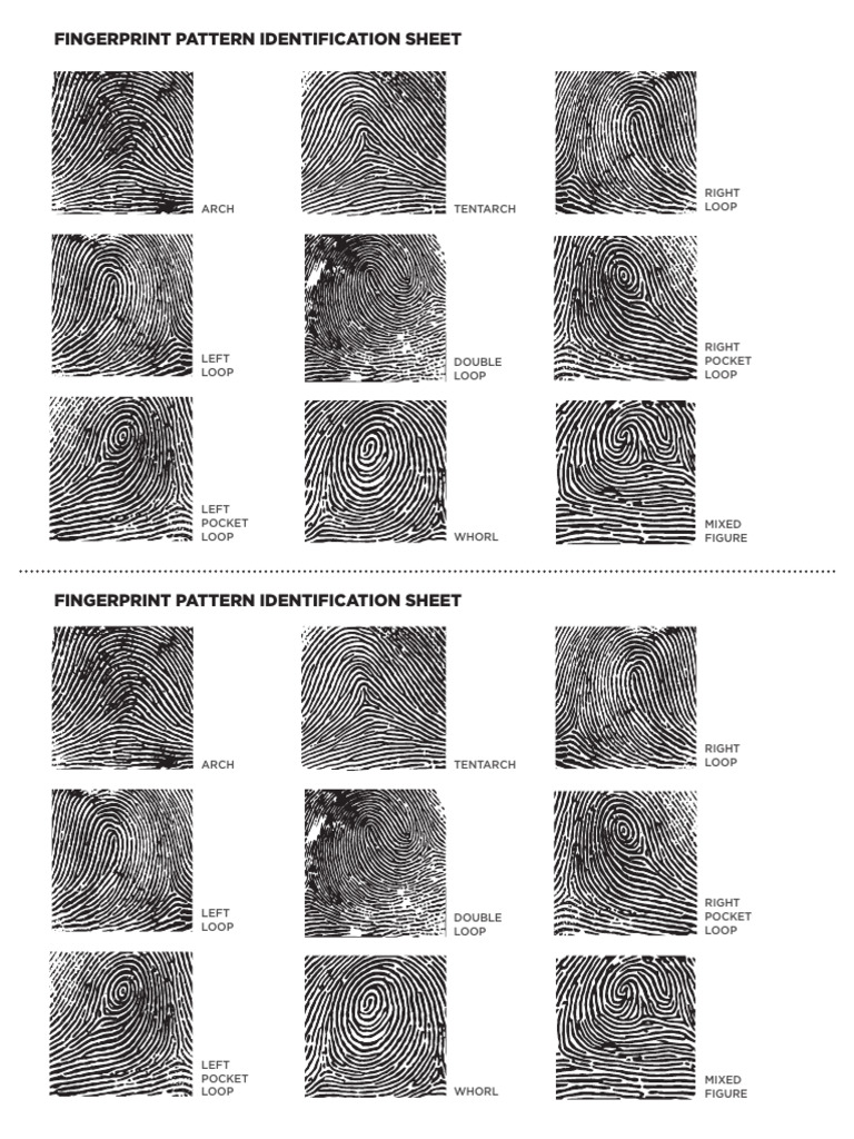 Fingerprint Pattern Types Overview | PDF
