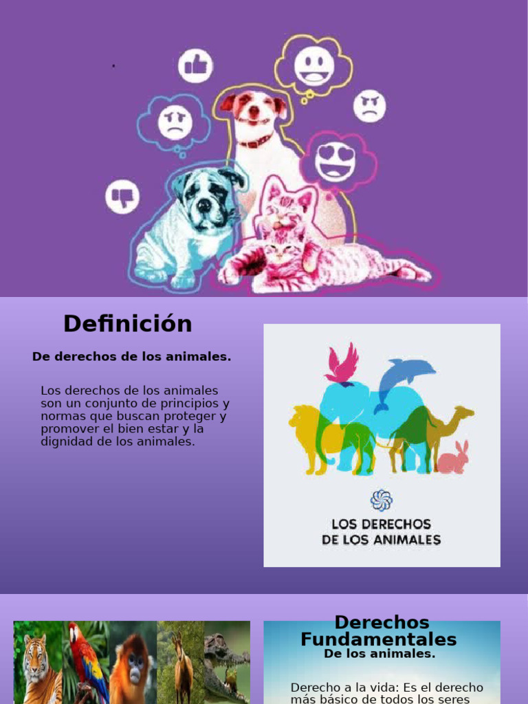 Derecho de Los Animales | PDF | Derechos animales