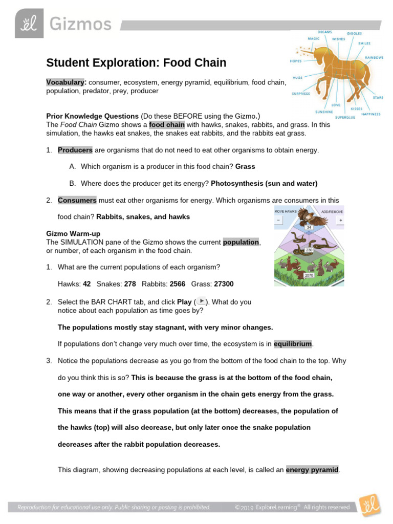 Food Chain Gizmo | PDF | Predation | Zoology